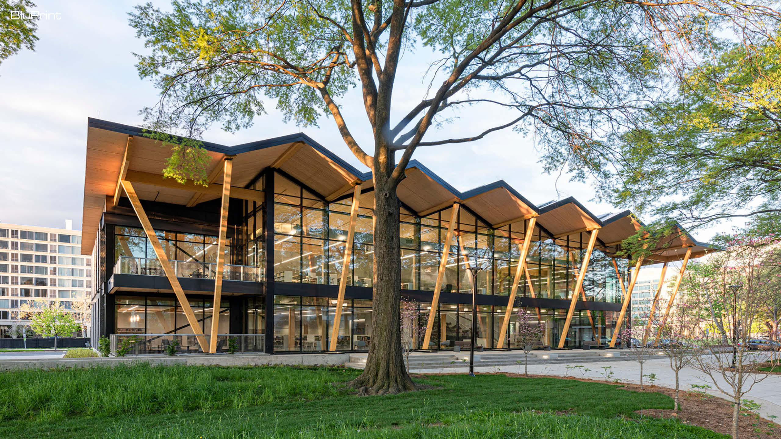 DCPL Blends People, Nature, and Knowledge in Design