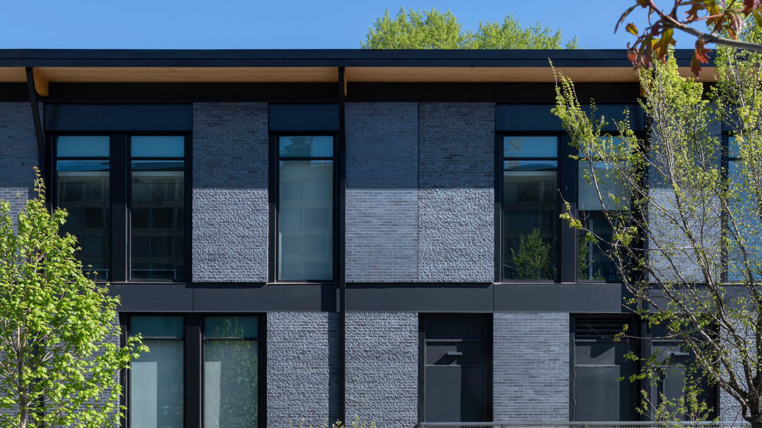 DCPL Blends People, Nature, and Knowledge in Design