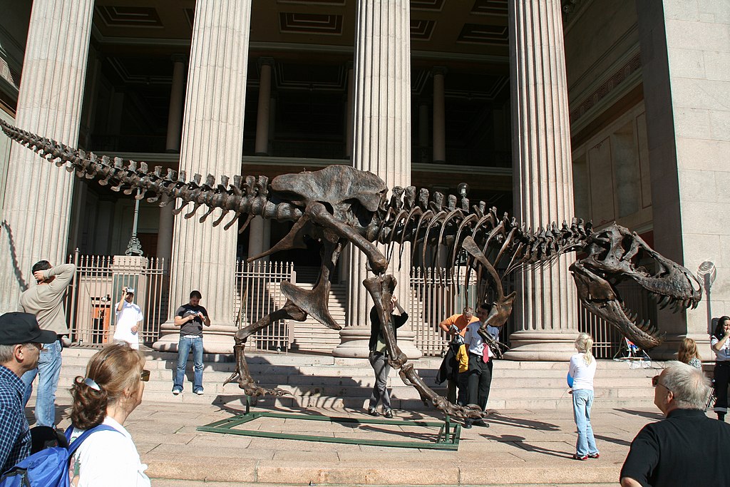Stegosaurus Fossil Sets New Record at Sotheby Auction