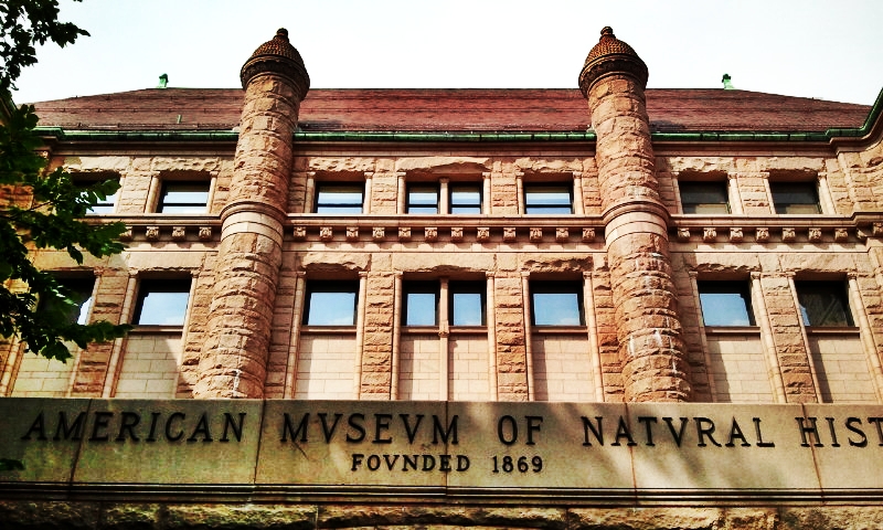 Native American Artifacts Set for Repatriation